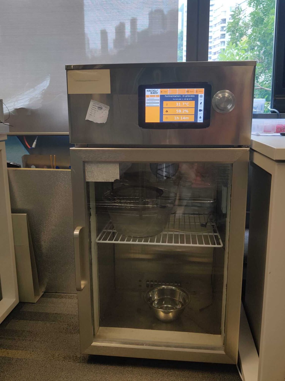 Vegan Mutton - Fermenting Soybean Pasta with Rhizopus oligosporus ...