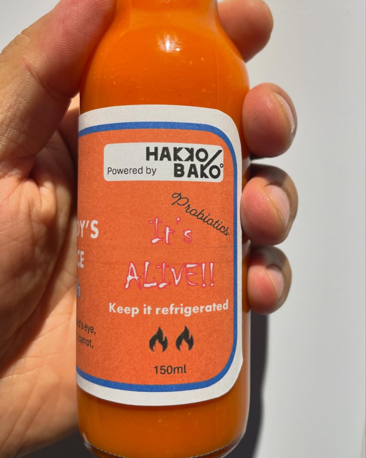 Blog - HakkoBako | Fermentation Guides, Tools and Reports