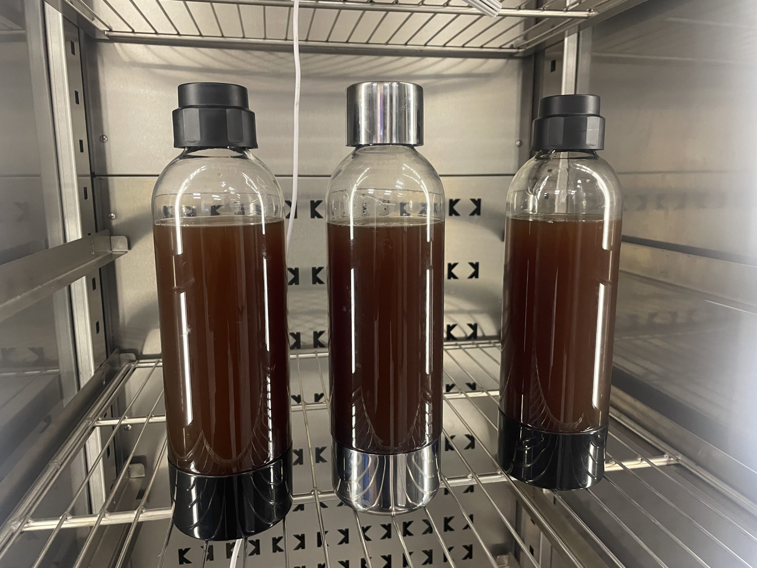 HakkoBako Consulting Services - HakkoBako